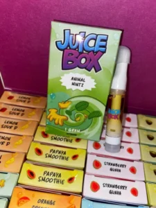 BUZZ BAR DISPOSABLE - BUZZ BAR DISPOSABLE 2-Gram